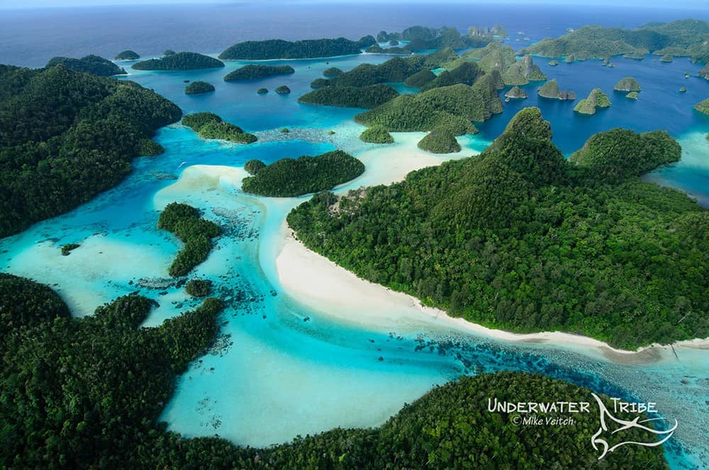 Night Diver - Underwater Tribe