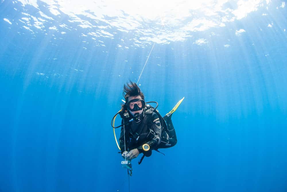PADI Peak Performance Buoyancy Diver - Underwater Tribe