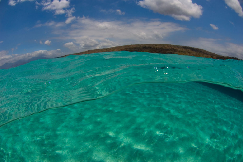 Bali Diving - What To Expect When Diving Bali - Underwater Tribe