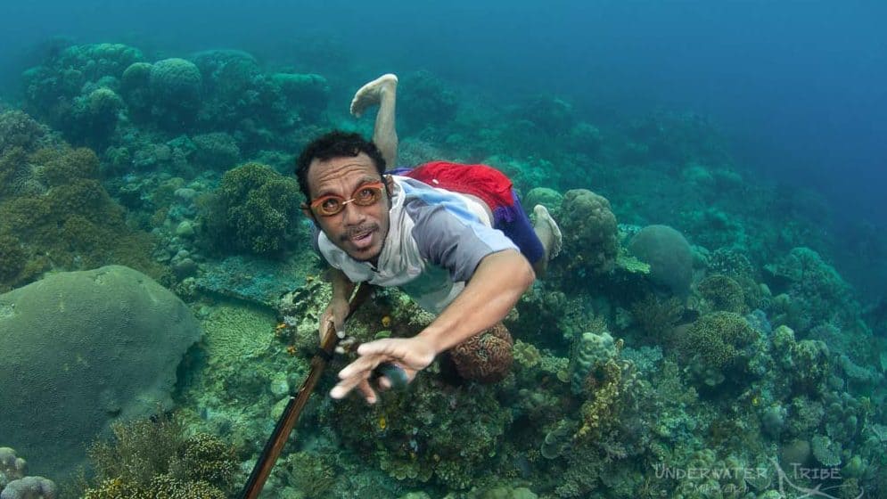 Our Six Favourite Photos of 2019 | Underwater Tribe