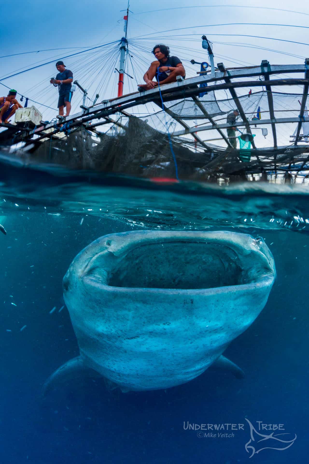 Our Six Favourite Photos of 2019 | Underwater Tribe