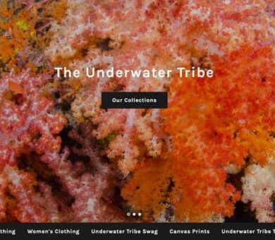 Home | Underwater Tribe | Bali Scuba Diving | Liveaboards | UW Photo